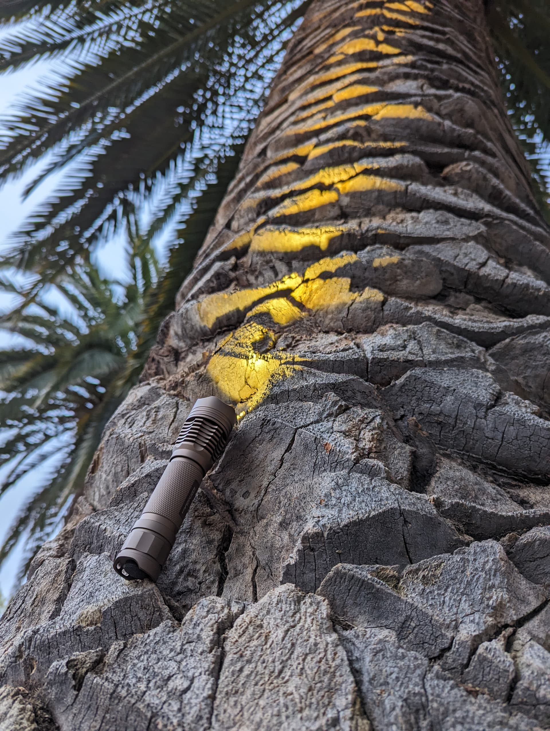 【convoy】SFT70 3000K CRI95 available - #12269 by 14500 - Commercial ...